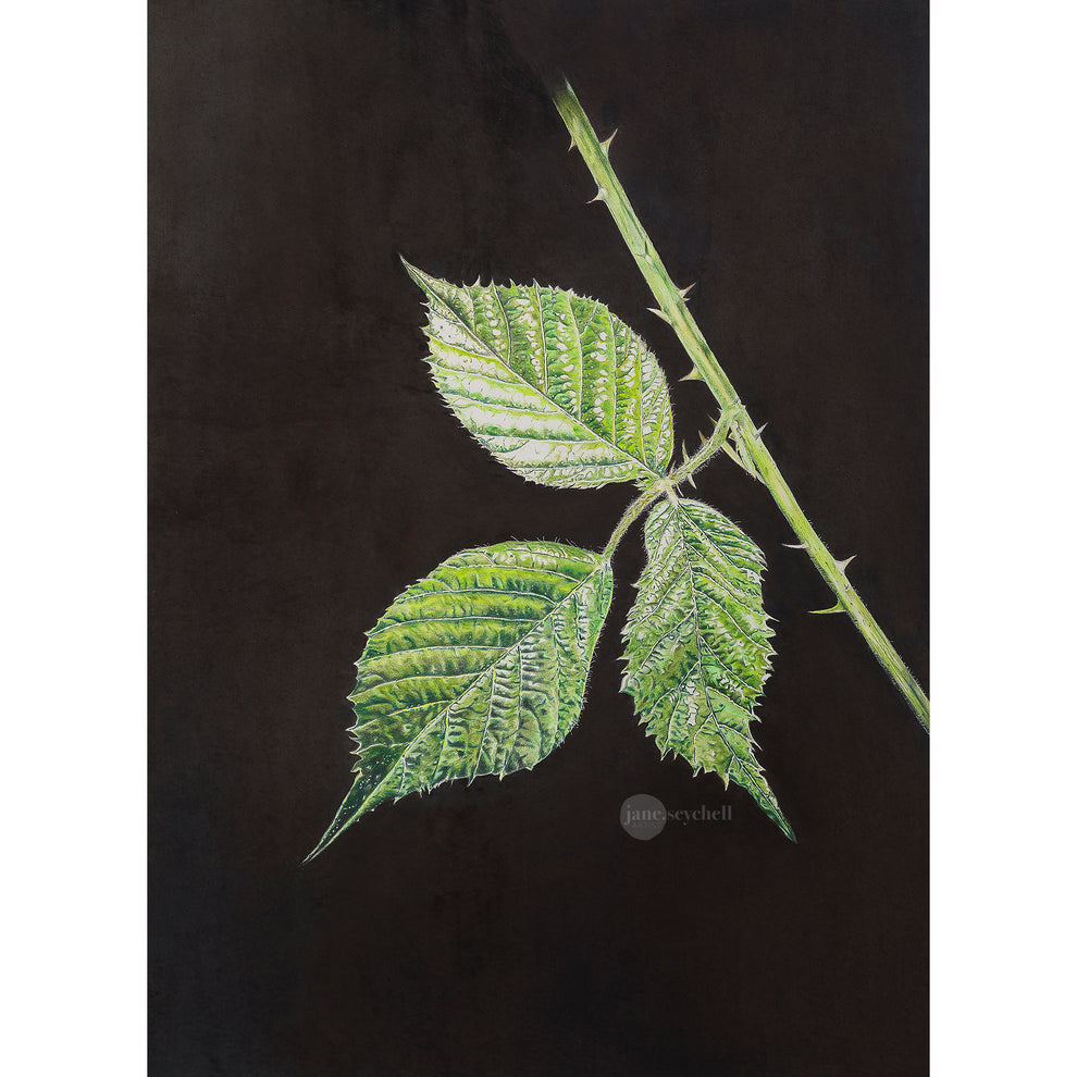 Award-Winning Artist Jane Seychell: Hyper Realistic Blackberry Leaves ...