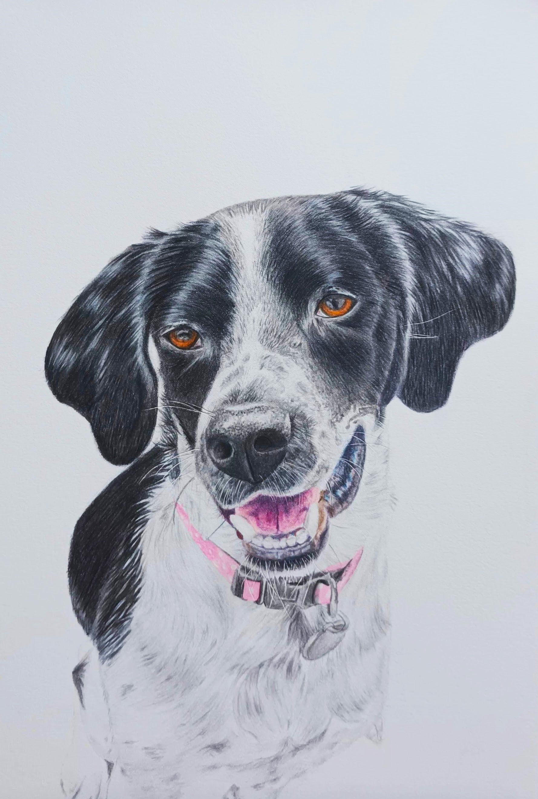 Commissions Gallery – Jane Seychell Artist